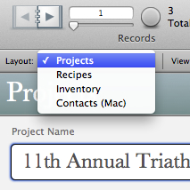 Recreating the Bento library pane in FileMaker Pro